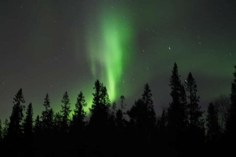 Luleå: Northern Lights Snowshoeing Tour - Key Points