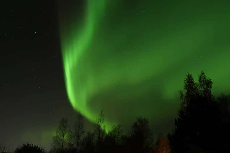 Luleå: Northern Lights Snowshoeing Tour - Exploring the Experience in Detail
