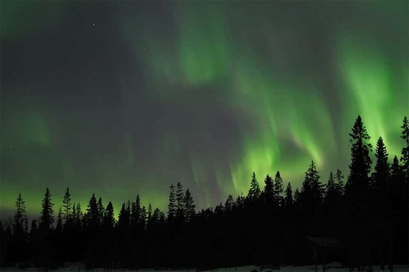Luleå: Northern Lights Tour by Car with Guide - Key Points