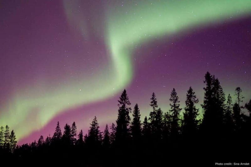 Luleå: Northern Lights Tour by Car with Guide - The Itinerary: What You Can Expect