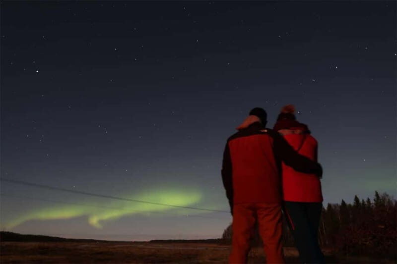 Luleå: Northern Lights Tour by Car with Guide - The Sum Up