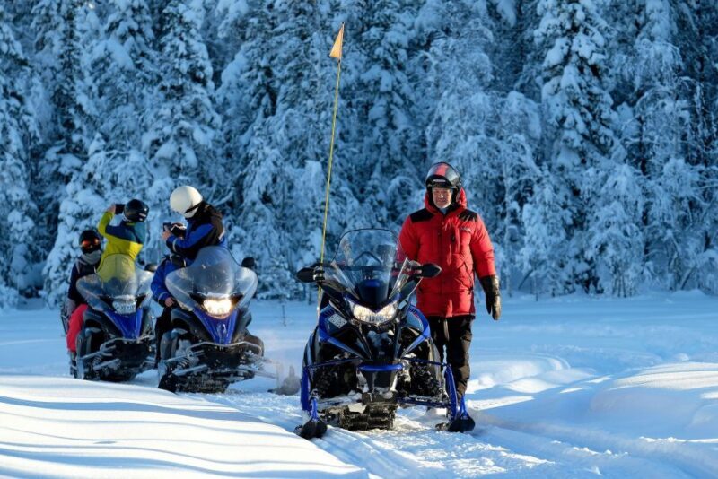 Luleå : Snowmobile - Forest and Ice Nature Tour 2h - Practical Tips for Travelers