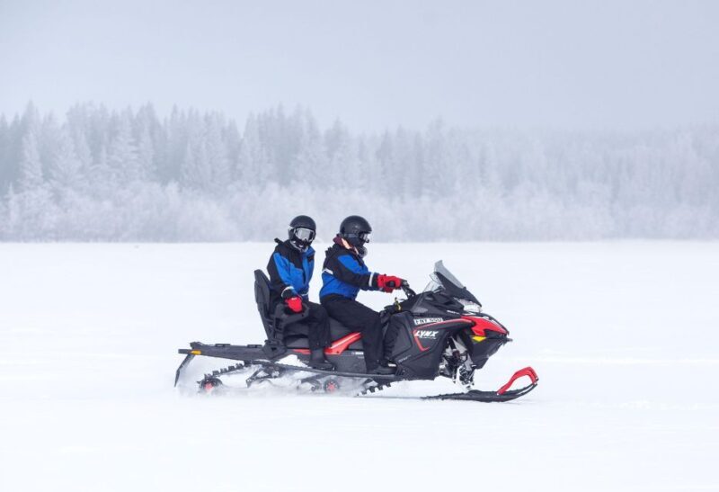 Luleå : Snowmobile - Forest and Ice Nature Tour 2h - Who Should Consider This Tour?