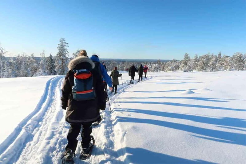 Luleå: snowshoeing in pristine nature with an expert guide! - Key Points