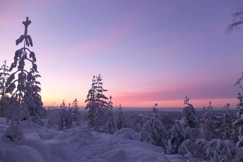 Luleå: snowshoeing in pristine nature with an expert guide! - Discovering Snowshoeing in Luleå: A Practical Overview