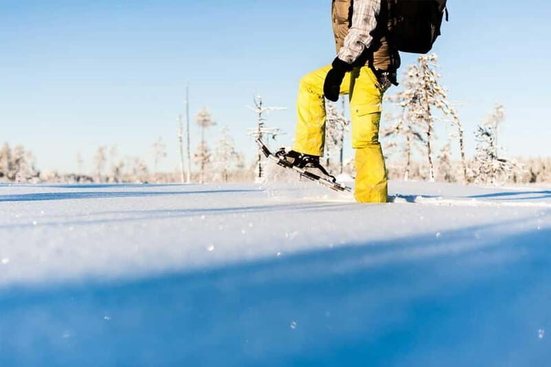 Luleå: snowshoeing in pristine nature with an expert guide! - Cozy Comforts and Wildlife Encounters