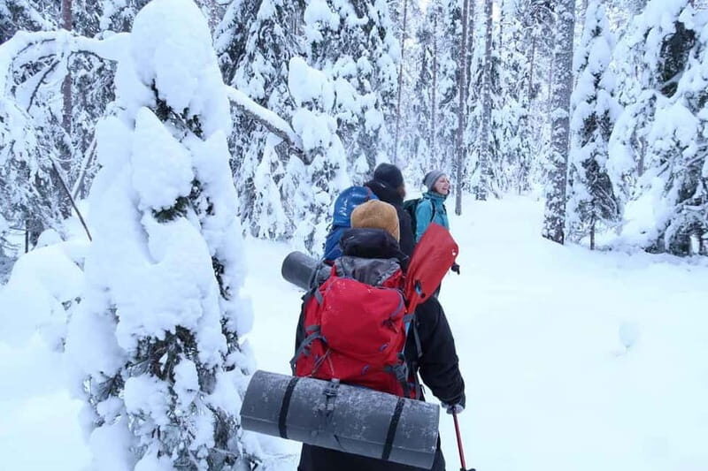 Luleå: snowshoeing in pristine nature with an expert guide! - Gear and Comfort