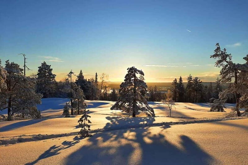 Luleå: snowshoeing in pristine nature with an expert guide! - Who Will Love This?