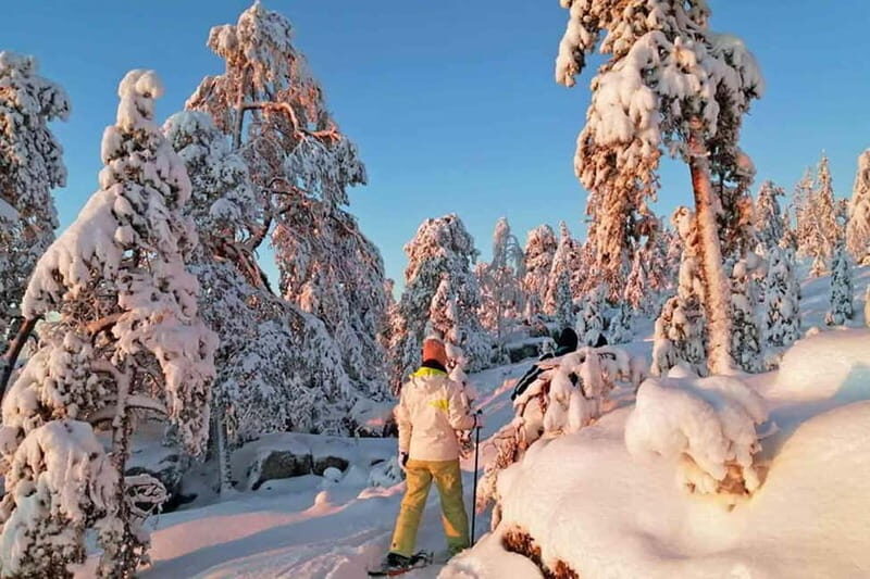 Luleå: snowshoeing in pristine nature with an expert guide! - The Sum Up