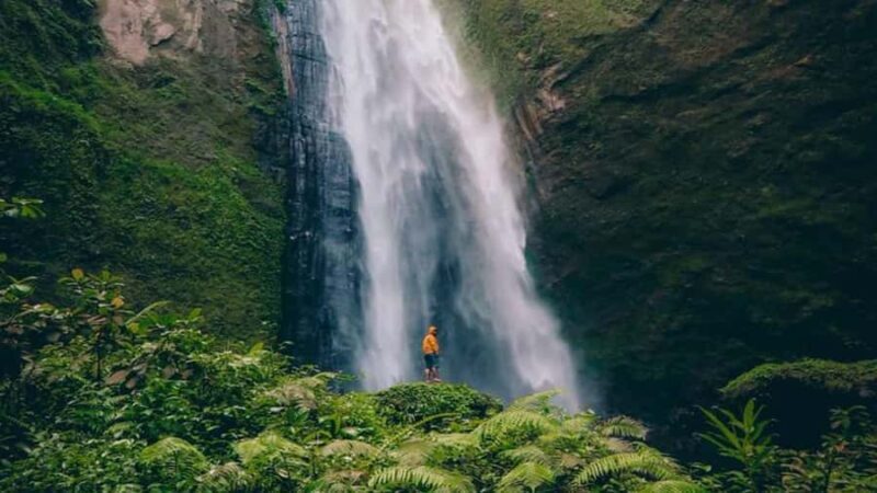 Lumajang or Malang: Kabut Pelangi Waterfall Guided Tour - The Sum Up