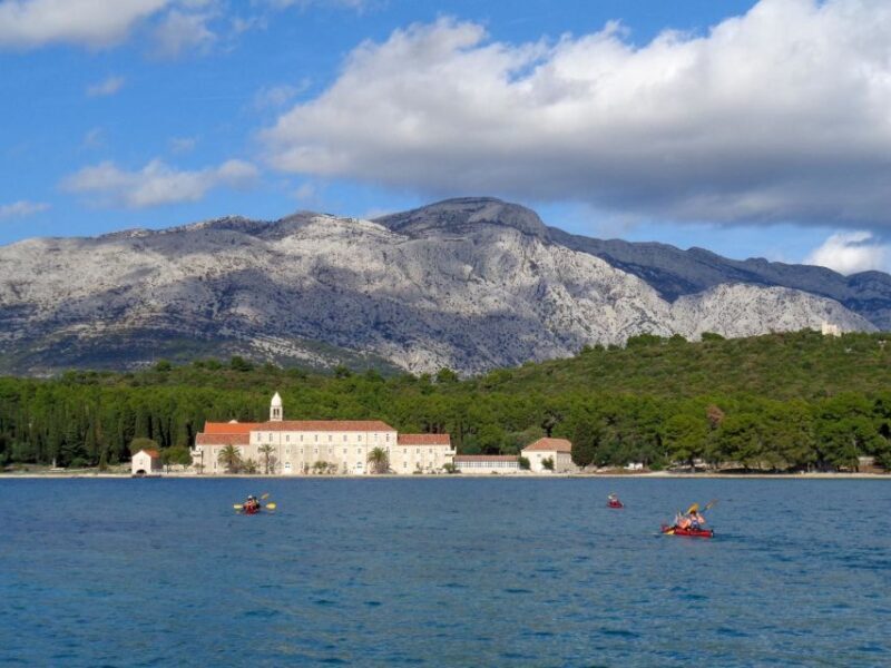 Lumbarda: Half-Day Kayaking and History with Wine delight - Who Will Love This Tour?
