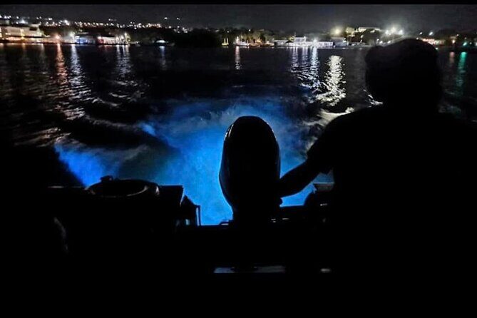 Luminous Lagoon 5 in 1 Experiences - An Adventure-Packed Day in Jamaica’s Top Spots