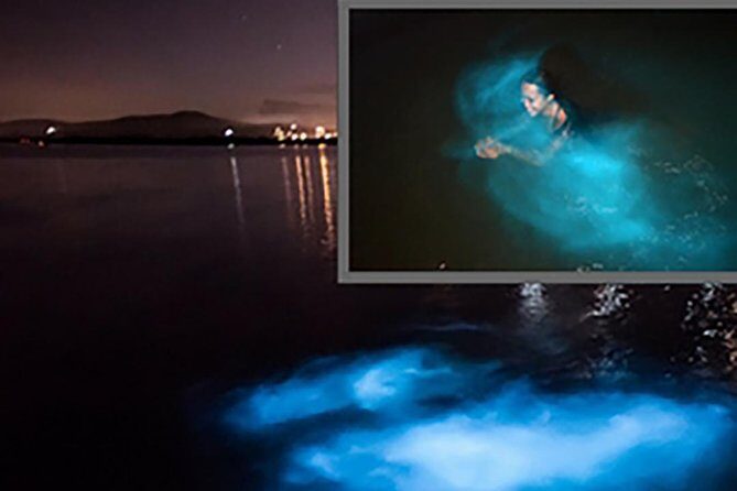 Luminous Lagoon and Glistening Water Tour from Montego Bay - FAQ