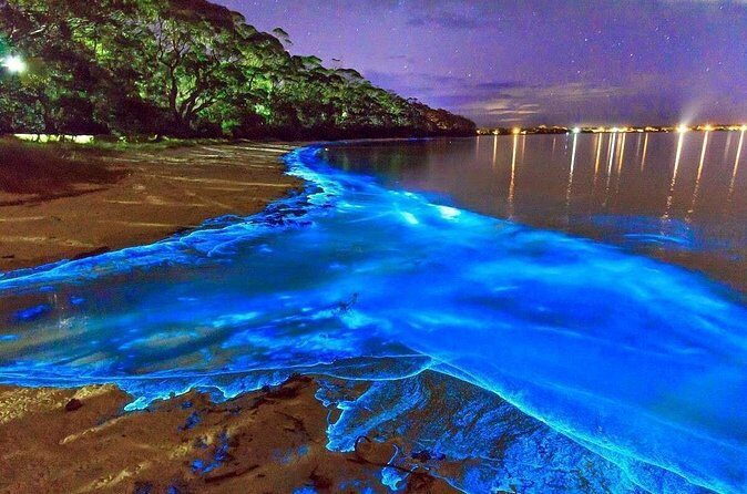 Luminous Lagoon and Rose Hall Great House Night Tour - Final Thoughts: Who Should Consider This Tour?