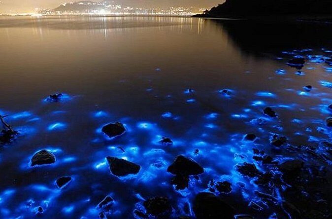 Luminous Lagoon - Why This Tour Could Be a Great Fit