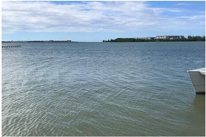 Luminous lagoon Dark night Tour from Ocho Rios and Runaway Bay Hotels - The Sum Up