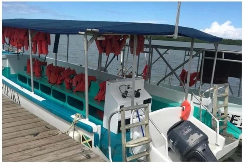 Luminous Lagoon Experience: Ocho Rios Runaway Bay & Falmouth - Who Will Love This Experience?