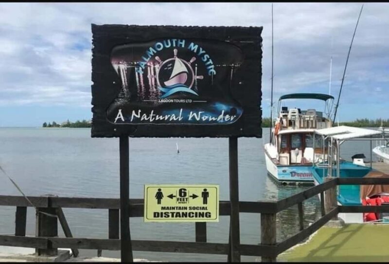 Luminous Lagoon Experience: Ocho Rios Runaway Bay & Falmouth - Final Thoughts: Is It Worth It?