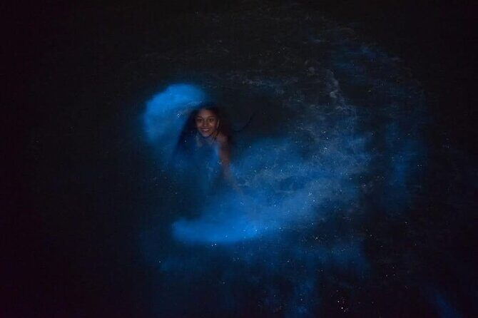 Luminous Lagoon (Glistening Waters) Night Tour - The Price: Is It Worth It?