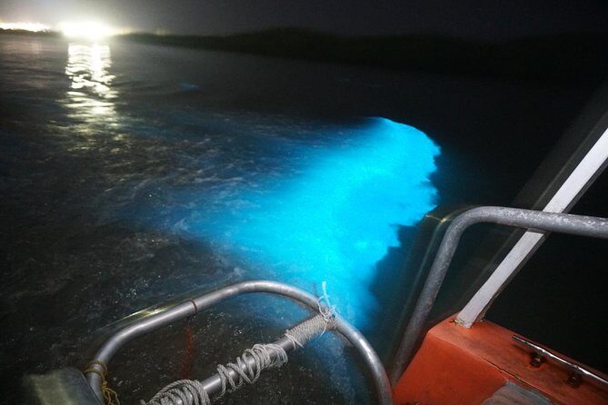 Luminous Lagoon "Glistening Waters" Tour from Falmouth - Who Will Love This Tour?