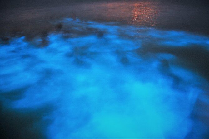 Luminous Lagoon "Glistening Waters" Tour from Falmouth - FAQ