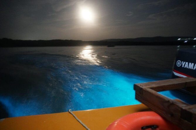 Luminous Lagoon "Glistening Waters" tour from Montego Bay Hotels - Exploring the Luminous Lagoon from Montego Bay: A Natural Wonder