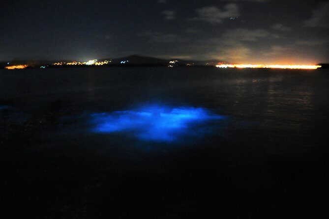 Luminous Lagoon "Glistening Waters" tour from Montego Bay Hotels - Who Should Consider This Tour?