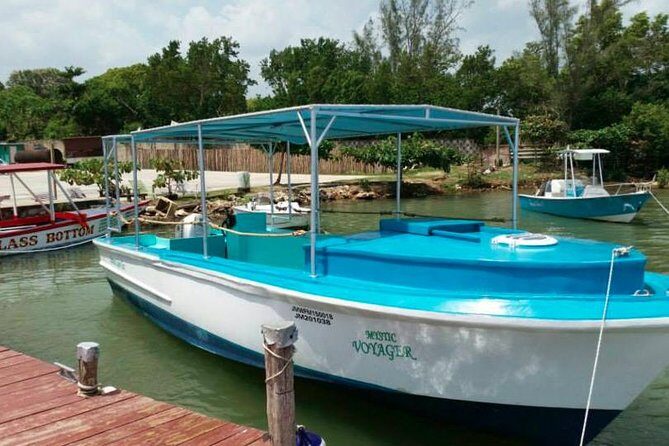 Luminous Lagoon Night-Time Tour from Montego Bay - Practical Details and Tips