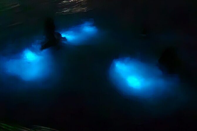 Luminous Lagoon Night Tour and Swim/Fire Dance from Montego Bay - What to Expect from the Tour