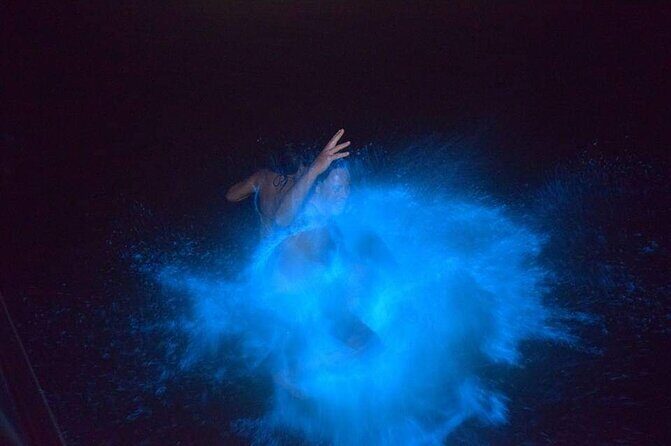 Luminous Lagoon Night Tour - What Makes This Tour Stand Out?