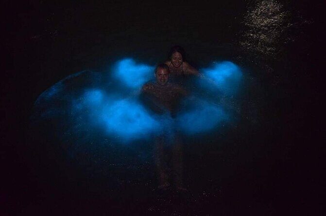 Luminous Lagoon Night Tour - What to Expect and Practical Tips