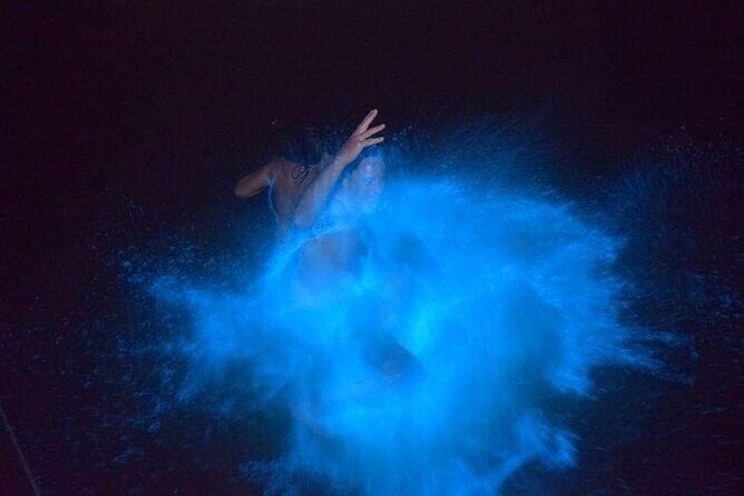 Luminous Lagoon Night Tour - Authentic Experiences Highlighted by Travelers