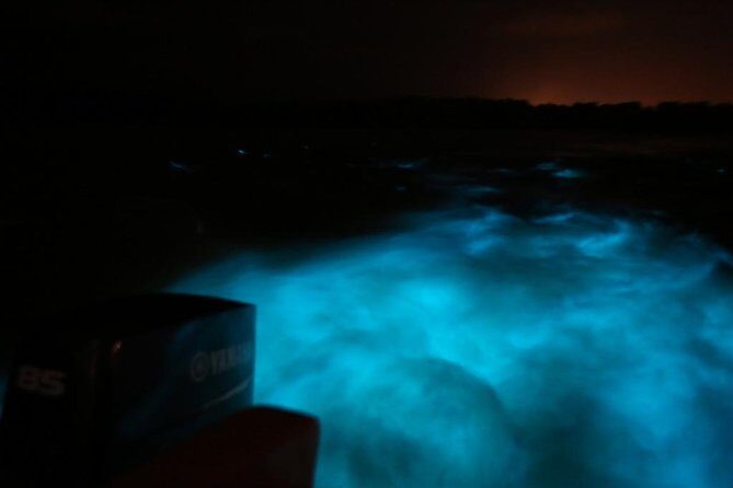 Luminous Lagoon-Night Tour (Falmouth, Ocho Rios or Montego) - Key Points