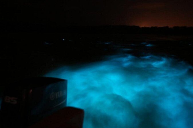 Luminous Lagoon-Night Tour (Falmouth, Ocho Rios or Montego) - Authentic Traveler Insights