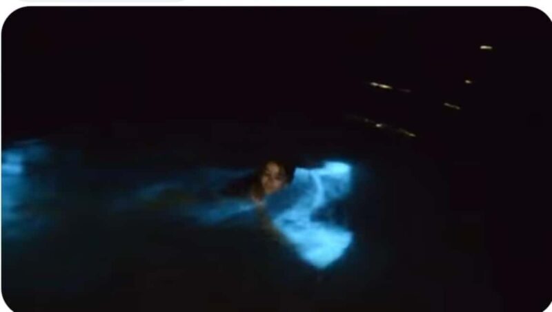 Luminous lagoon: Night Tour from Falmouth Hotels and Villas - Transportation, Timing, and Group Size