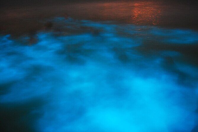 Luminous Lagoon Night Tour from Montego Bay - A Deep Dive into the Experience