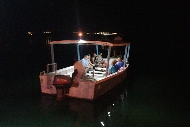 Luminous Lagoon Night Tour from Montego Bay - The Practical Side: Transportation, Duration, and Cost