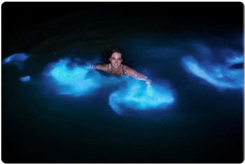Luminous lagoon : Night Tour from Ocho Rios and Runaway Bay - An In-Depth Look at the Luminous Lagoon Night Tour