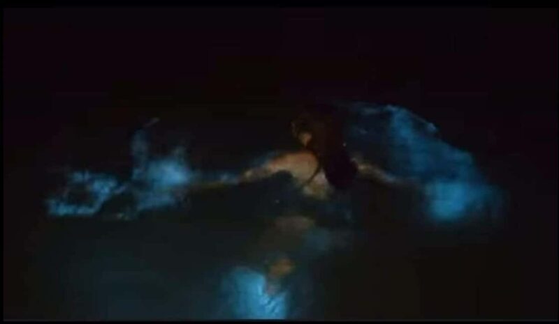 Luminous lagoon : Night Tour from Ocho Rios and Runaway Bay - Final Thoughts