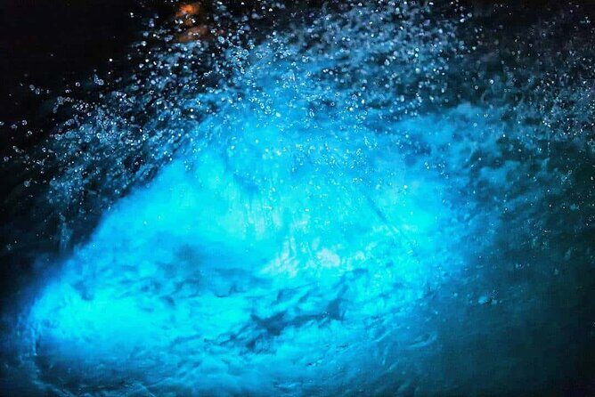 Luminous lagoon Night Tour Montego Bay - Authentic Experiences & Traveler Feedback