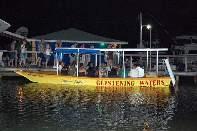 Luminous Lagoon Nighttime Boat Tour from Montego Bay - Key Points