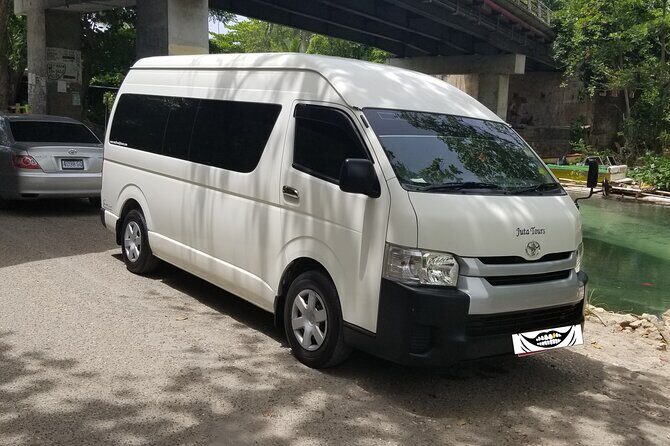 Luminous Lagoon Private Night Tour [ All Fees included ] - The Experience in Detail