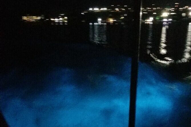 Luminous Lagoon Private Night Tour [ All Fees included ] - Final Thoughts