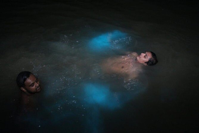 Luminous Lagoon Private Tour - The Reviews Speak