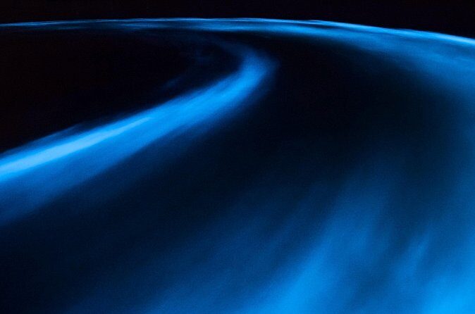 Luminous Lagoon Private Tour in Jamaica - Who Should Consider This Tour?