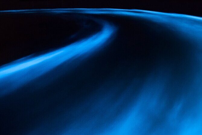 Luminous Lagoon Private Tour in Jamaica - Frequently Asked Questions