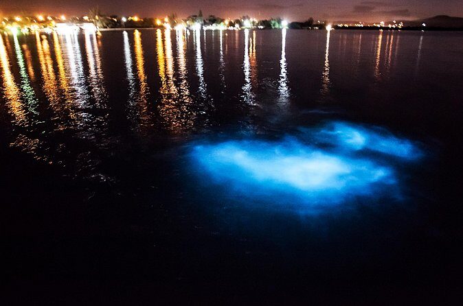 Luminous Lagoon Private Tour in Jamaica - Final Thoughts