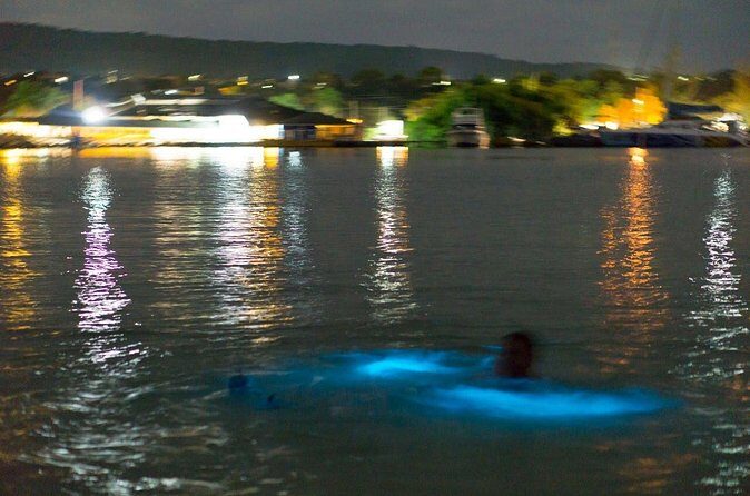 Luminous Lagoon Sightseeing Tour in Montego Bay - What Makes the Luminous Lagoon Tour Special?