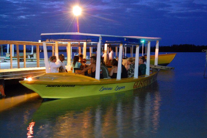 Luminous Lagoon Small Group Tour from Montego Bay - Deep Dive into the Experience