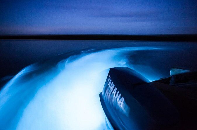 Luminous Lagoon Tour from Montego Bay - What the Tour Entails
